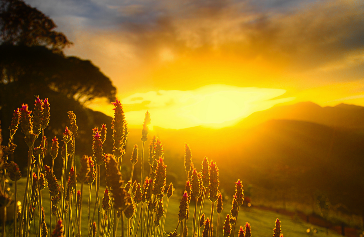 Discover your unconscious mind with EBT!